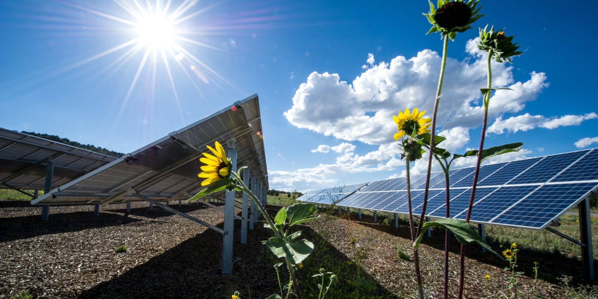 Clean Energy States Alliance (CESA) - Advancing Clean Energy